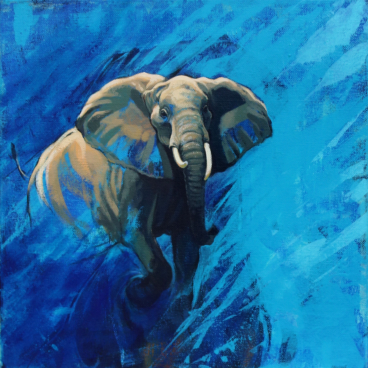 32 100 Elephant Mock Charge Heather Irvine Wildlife And Nature Art