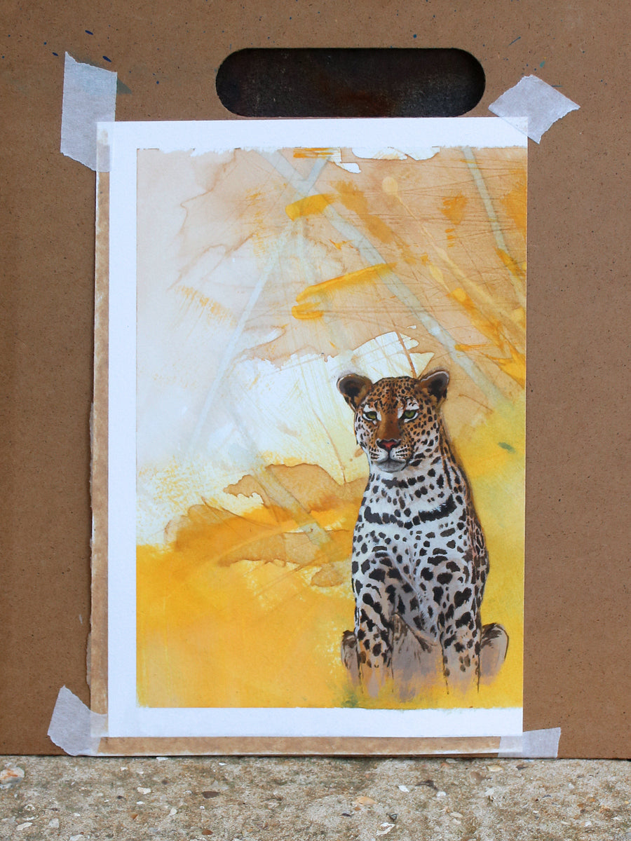 Mini Series - Sitting Young Female leopard – Heather Irvine Wildlife ...