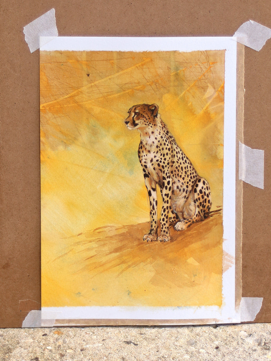 36/100 - Sitting Cheetah – Heather Irvine Wildlife and Nature Art
