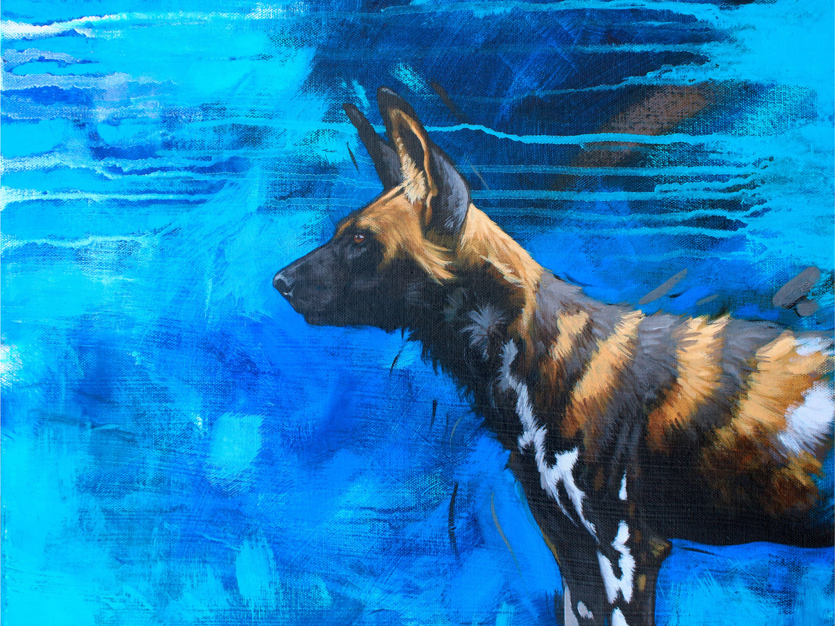 Blue Dog Limited Edition Print – Heather Irvine Wildlife and Nature Art
